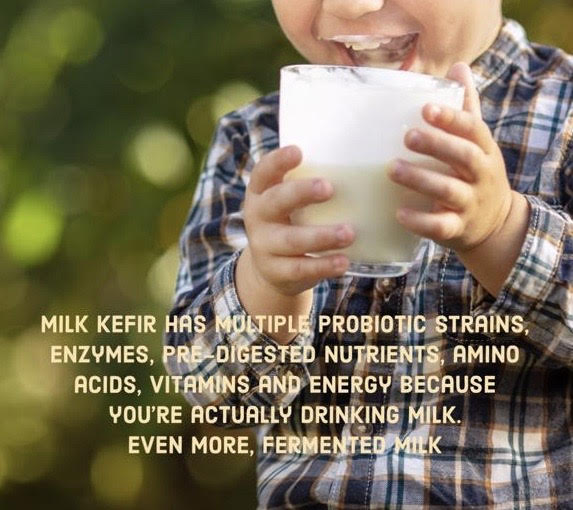 3 Reasons Why Growing Children Needs Milk Kefir in their Diet ...